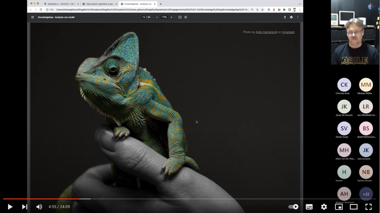 Analysts Can Model Democratising Data Modeling
