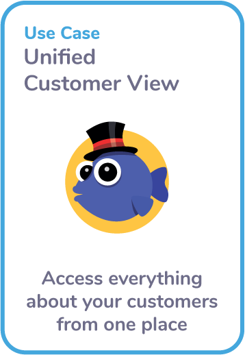 Unified Customer View - AgileData.io