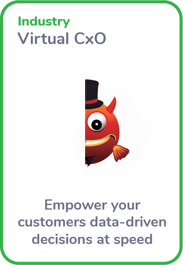 Virtual cXo - AgileData.io